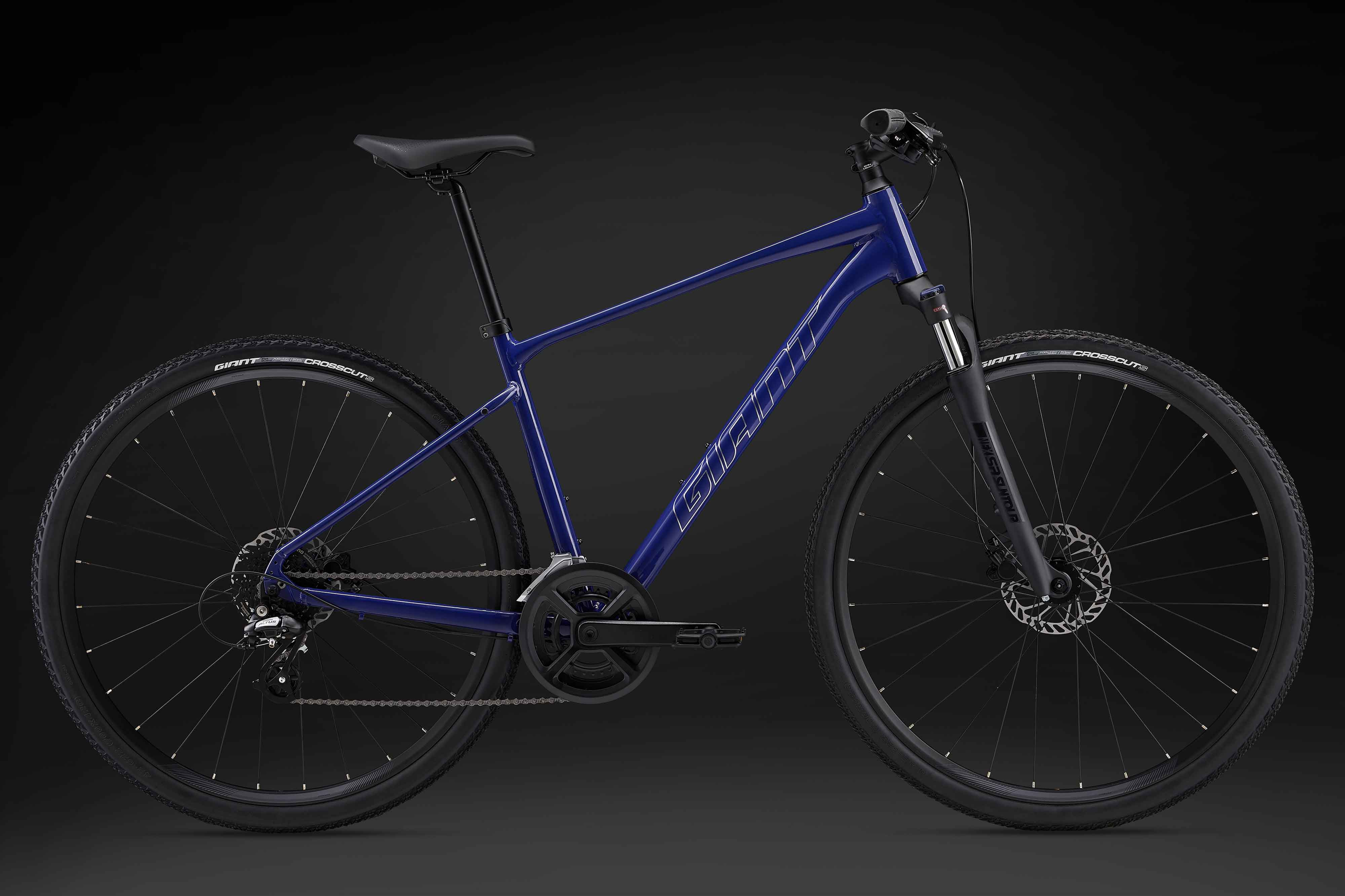 Giant Roam Disc 3