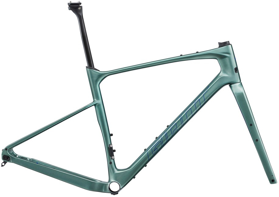 Giant Revolt Advanced Pro Frameset - The Bicycle Chain